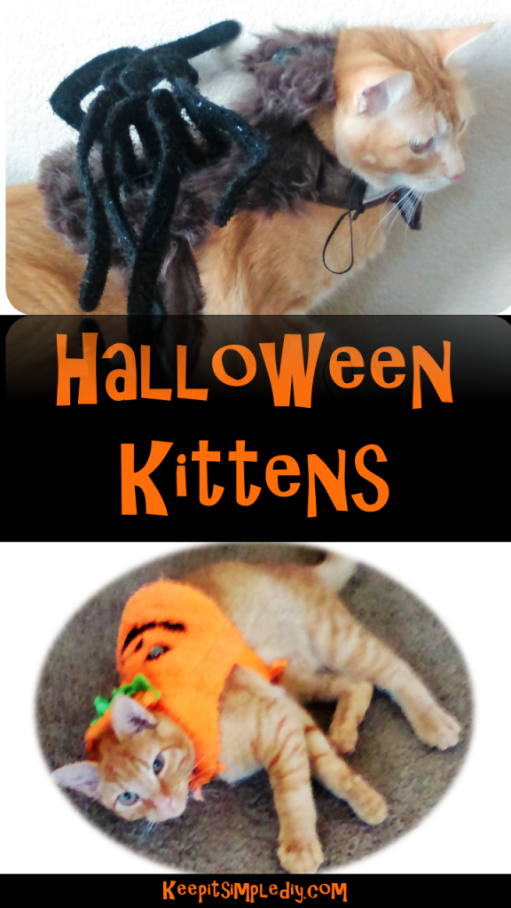 Halloween Kittens - Keep it Simple, DIY