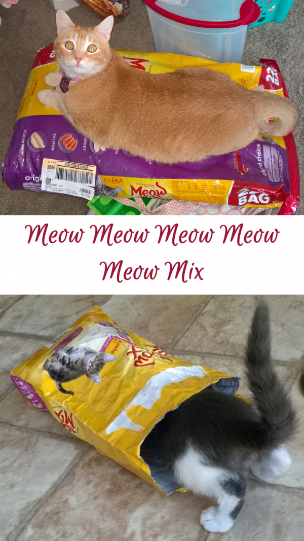 Meow Meow Meow Meow - Meow Mix - Keep it Simple, DIY